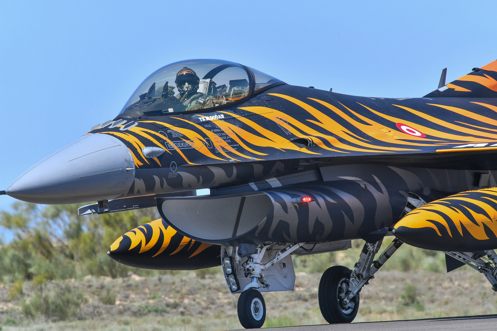 Tiger Meet 2016 - 192. Filo Kaplanlar